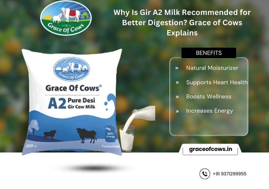 Why Gir A2 Milk Supports Better Digestion - Grace of Cows