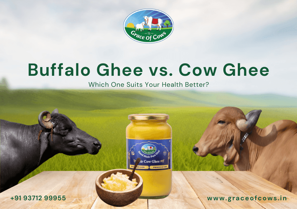 Buffalo Ghee vs. Cow Ghee: Which Is Healthier for You?